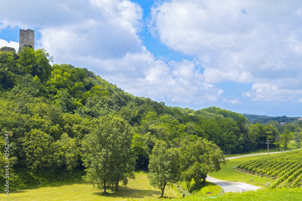 Momjan. Istra, Croatia. Stock Photo | Adobe Stock