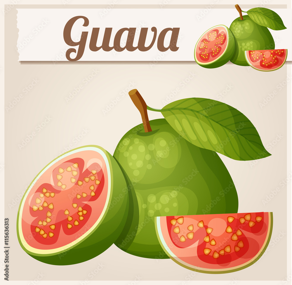 Guava fruit. Cartoon vector icon Stock Vector | Adobe Stock