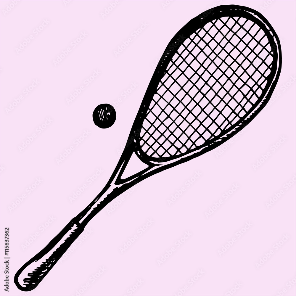 squash racket, ball doodle style sketch illustration hand drawn vector ...