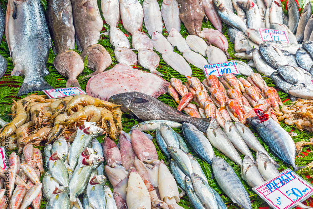 Fish market with a great choice seen in Istanbul, Turkey Stock Photo ...