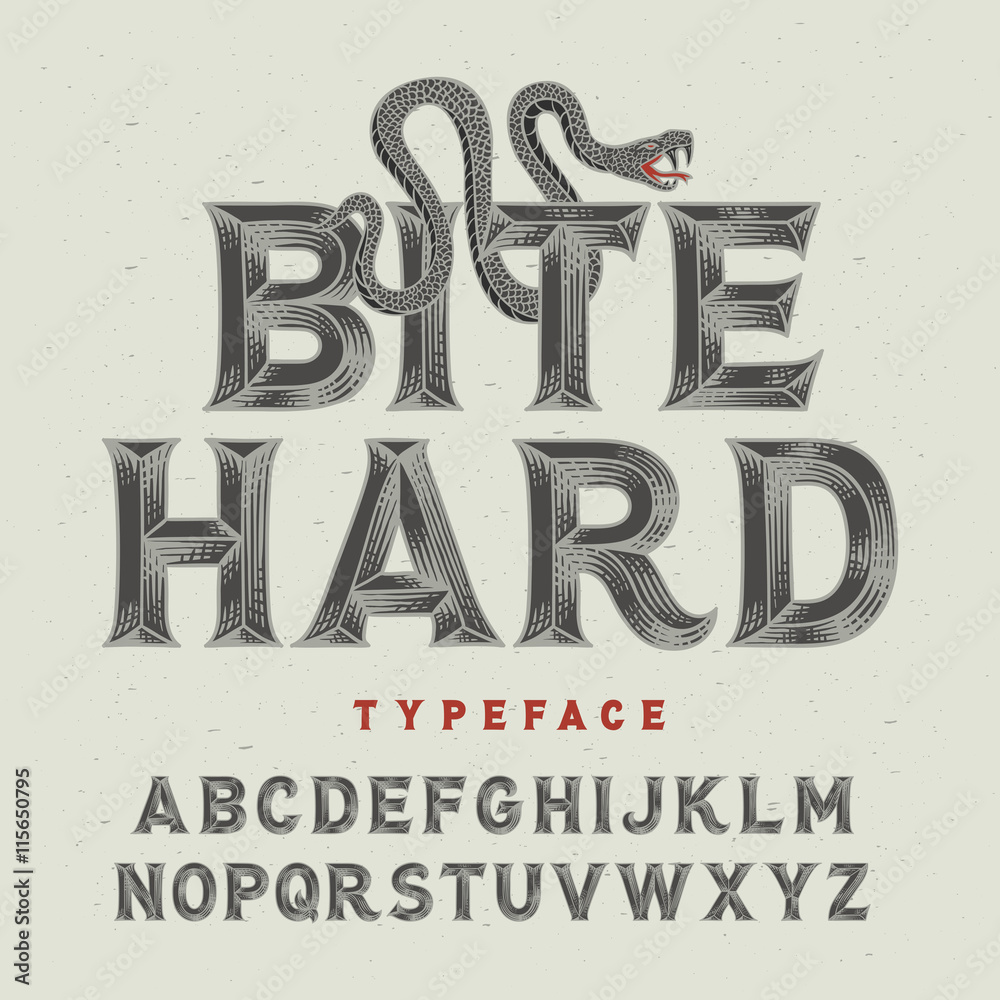 Vintage angry font with high level handcrafted details and crawling ...