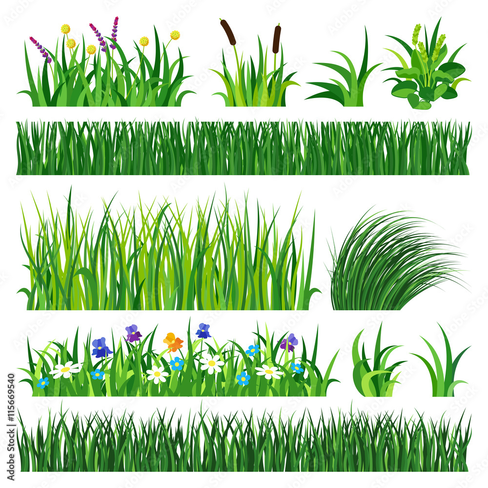 Green grass showing roots. Green grass with earth crosscut. Grass earth ...