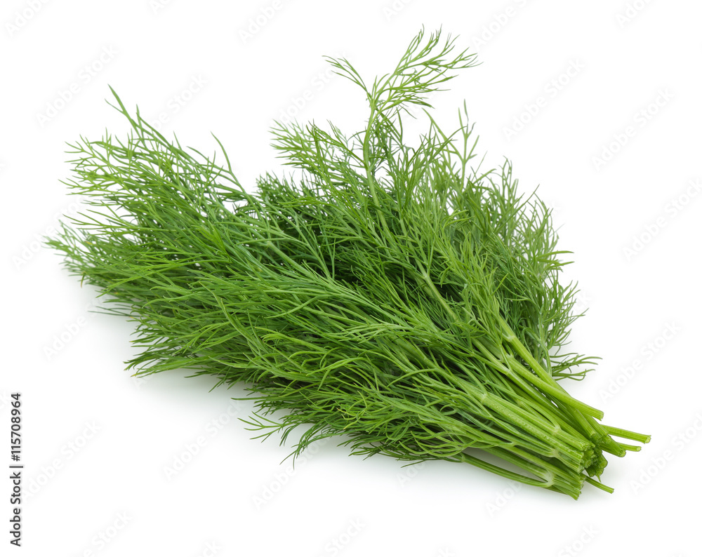Fresh dill Stock Photo | Adobe Stock