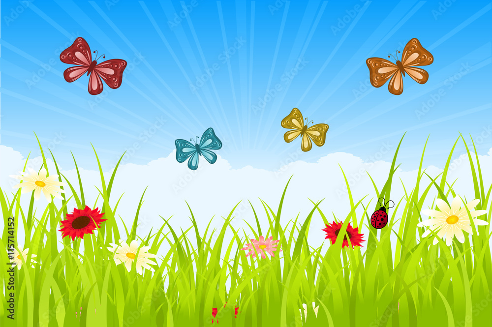 Nature Background with Flowers, Grass, Sky and Butterflies. Stock ...