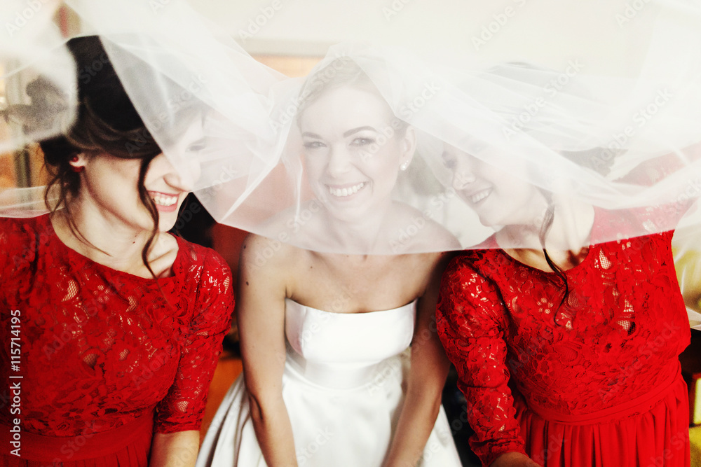 Bride smiles while bridesmaids hide her under a veil Stock Photo ...