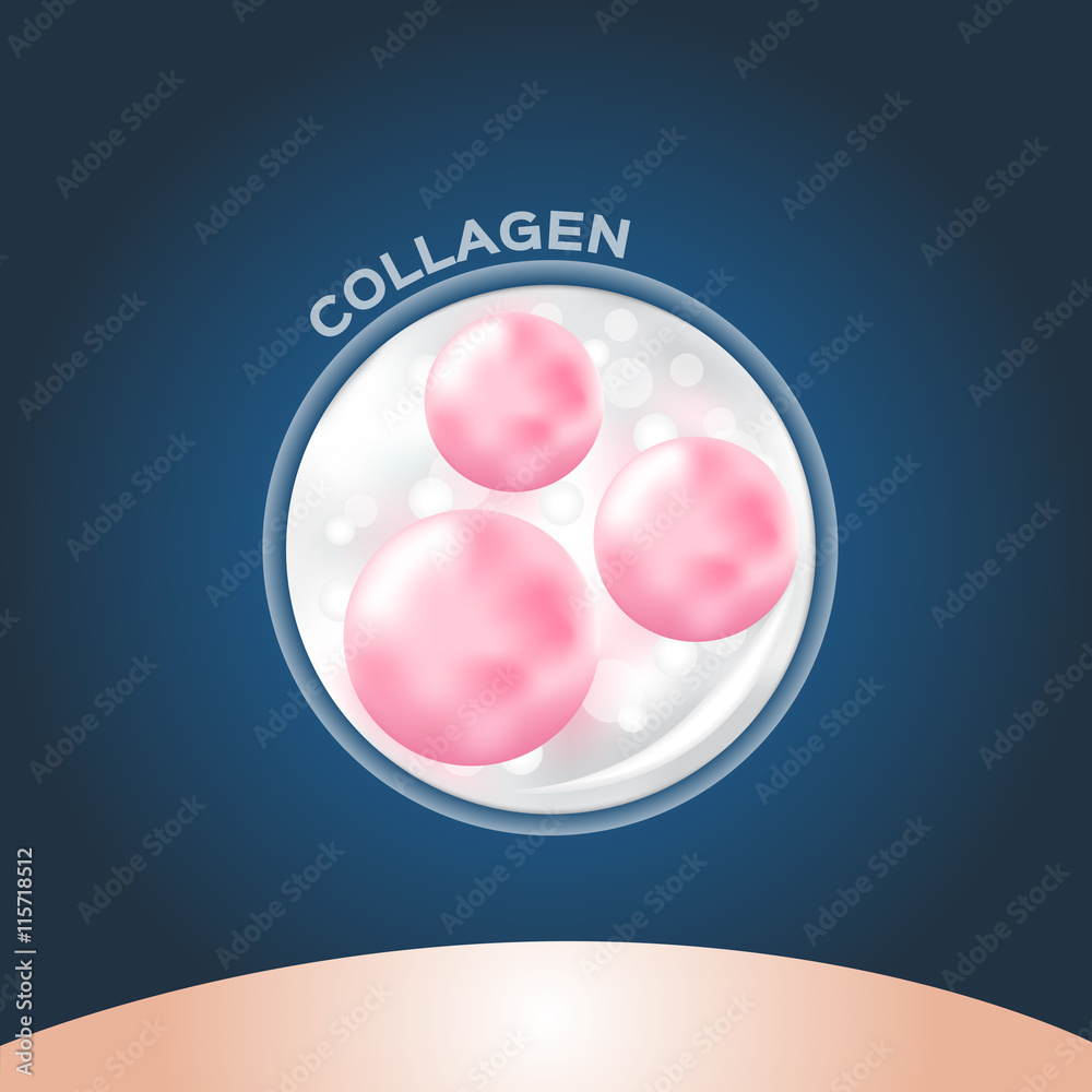collagen apply on skin vector , serum , drop . collagen makes cell ...