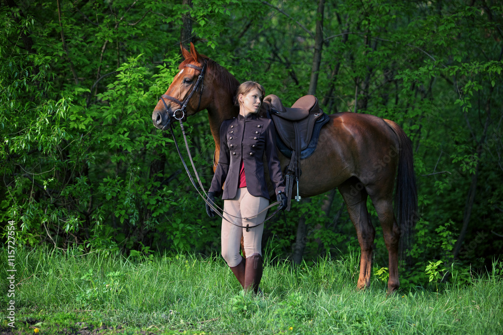 Beauty fashion model in equestrian hunt uniform posing with horse Stock ...