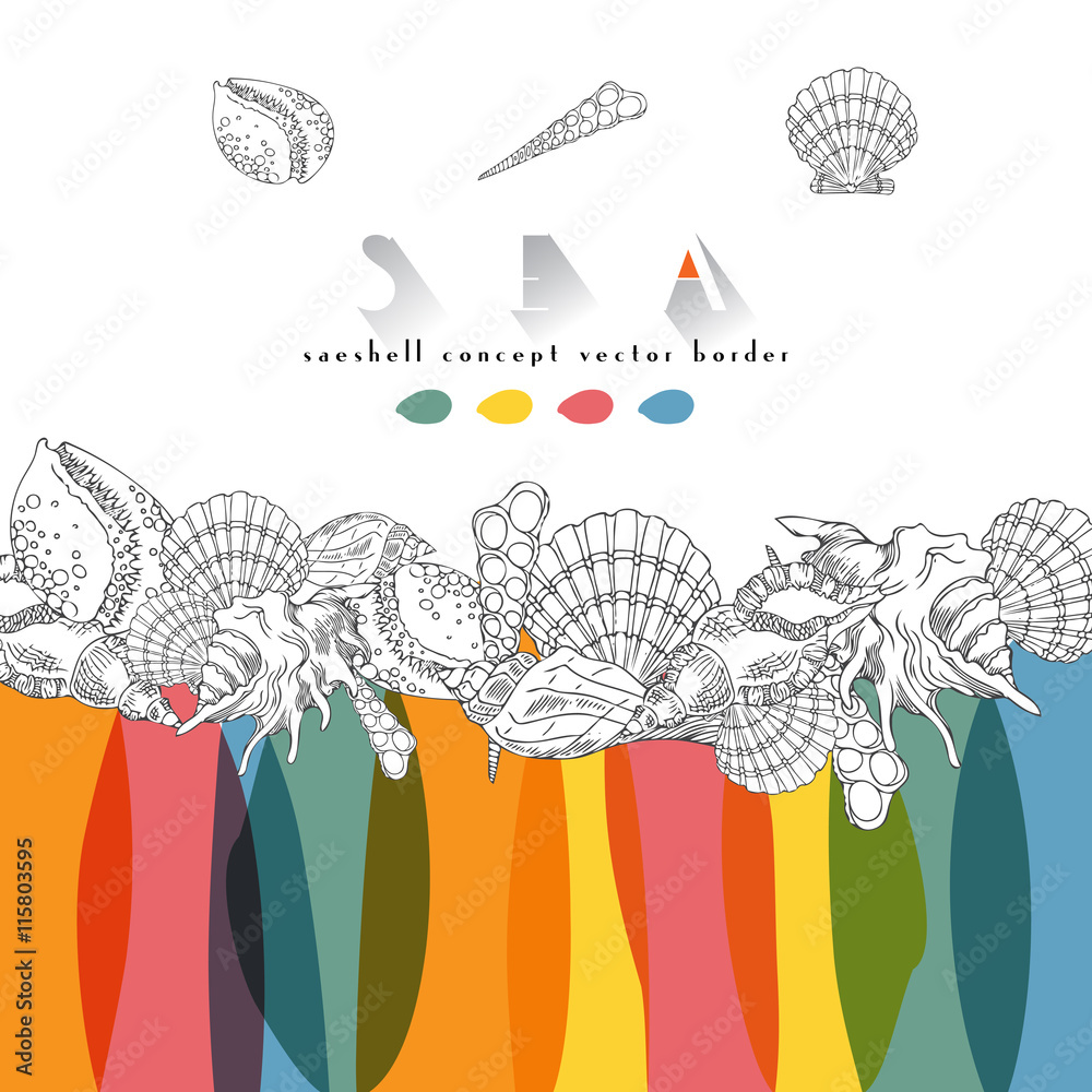 Seashells vector color tropical concept border. Seashells isolated line ...