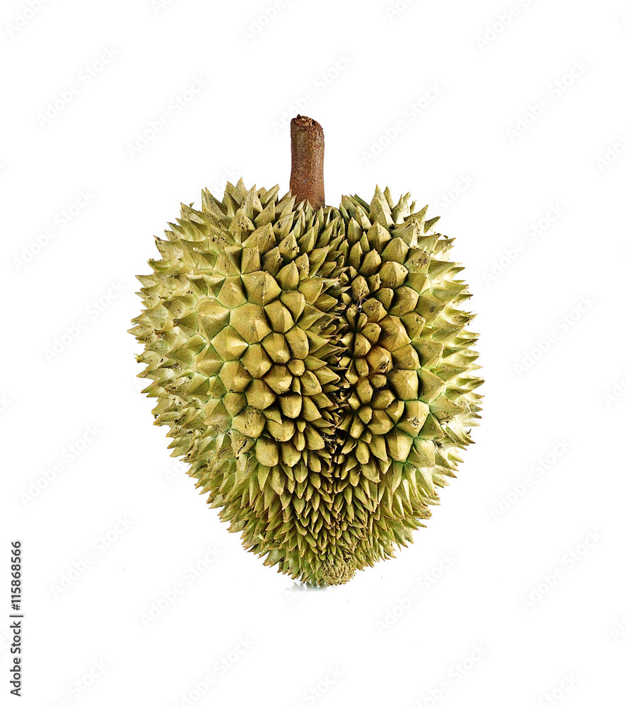durian close up isolated on white background. Stock Photo | Adobe Stock