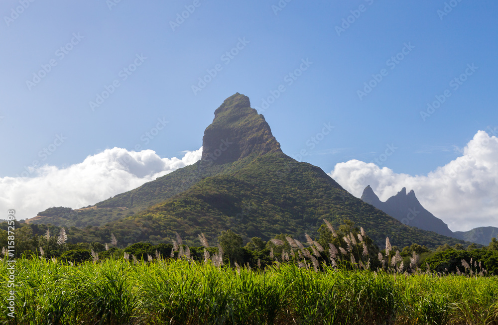 Piton de la Petite mit Zuckerrohrblüte Berg auf Mauritius Panor Stock ...