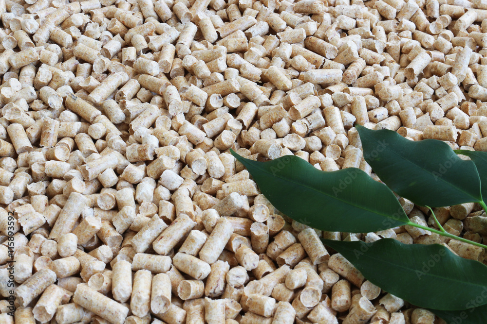 Biofuels Alternative biofuel from sawdust combustion in furnaces. Wood ...