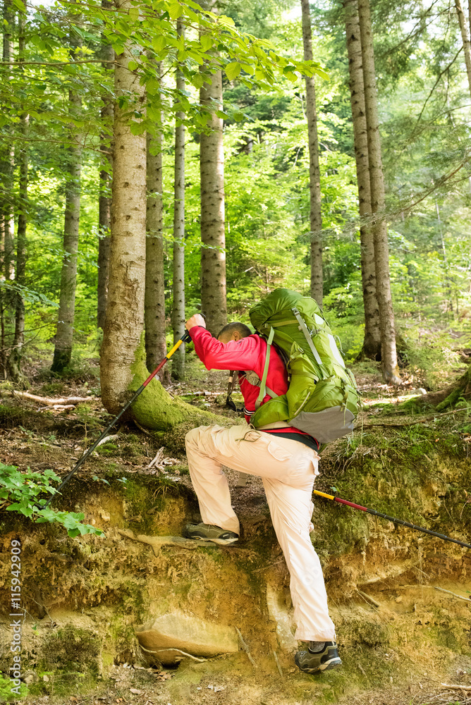 hiker in forest Stock Photo | Adobe Stock