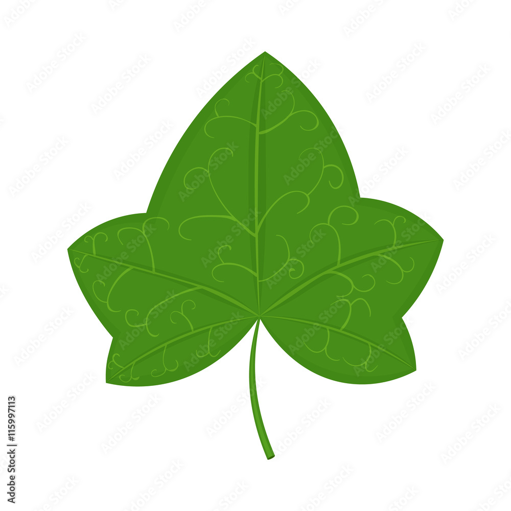 Green ivy leaf vector illustration isolated on white background Stock ...