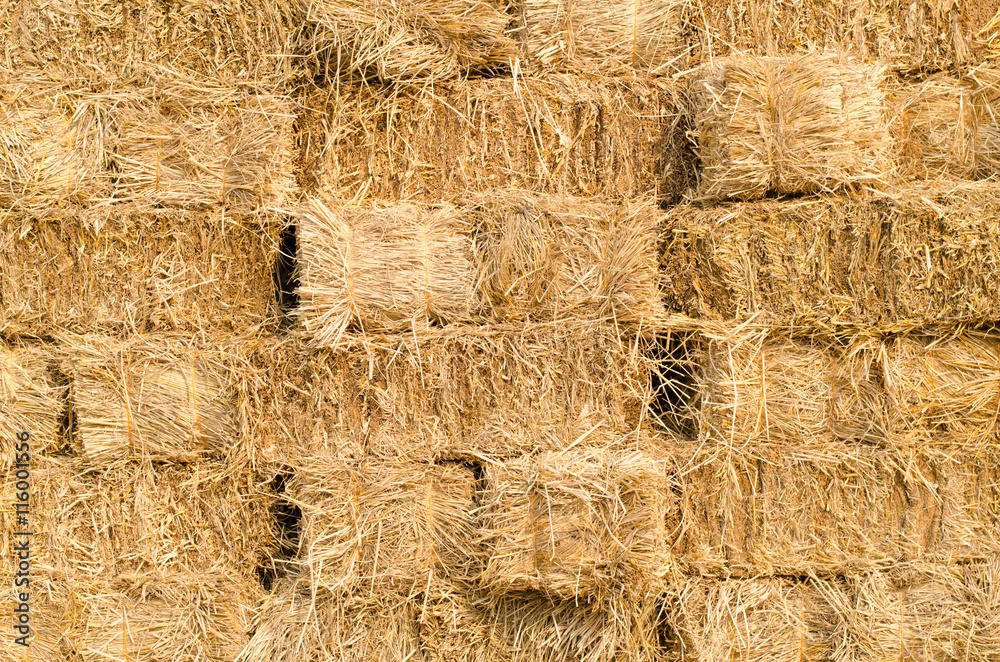 Stack of rice straw texture for background Stock Photo | Adobe Stock