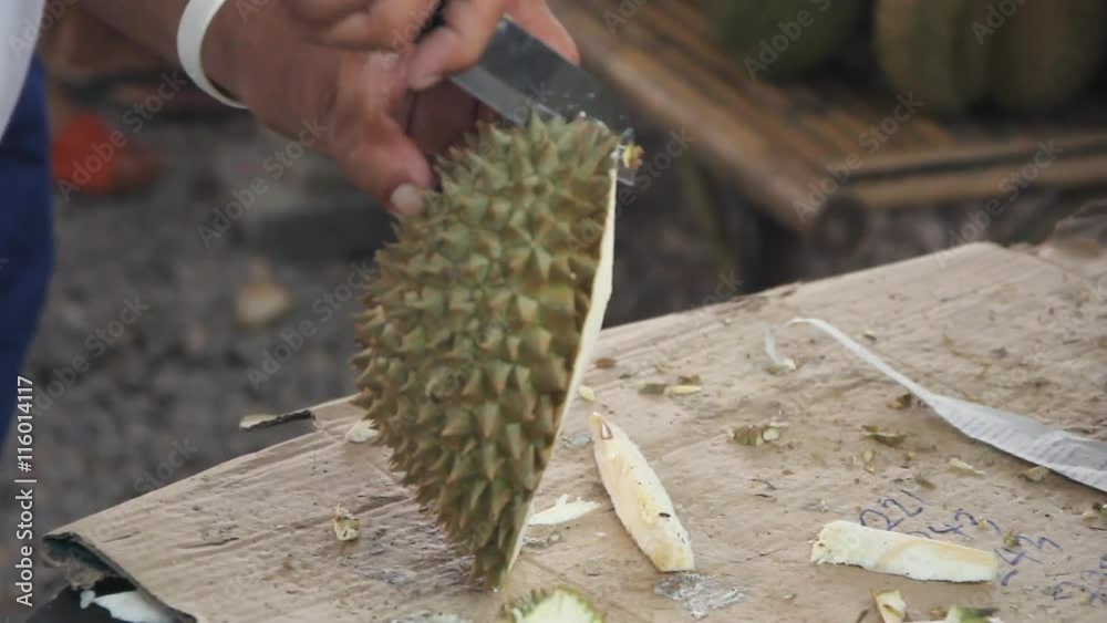 Cutting durian with knives Stock Video | Adobe Stock