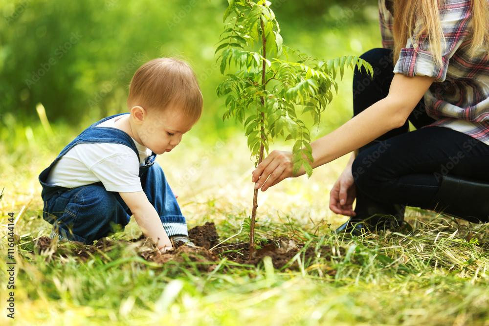 Cute baby boy planting tree with parent in garden Stock Photo | Adobe Stock