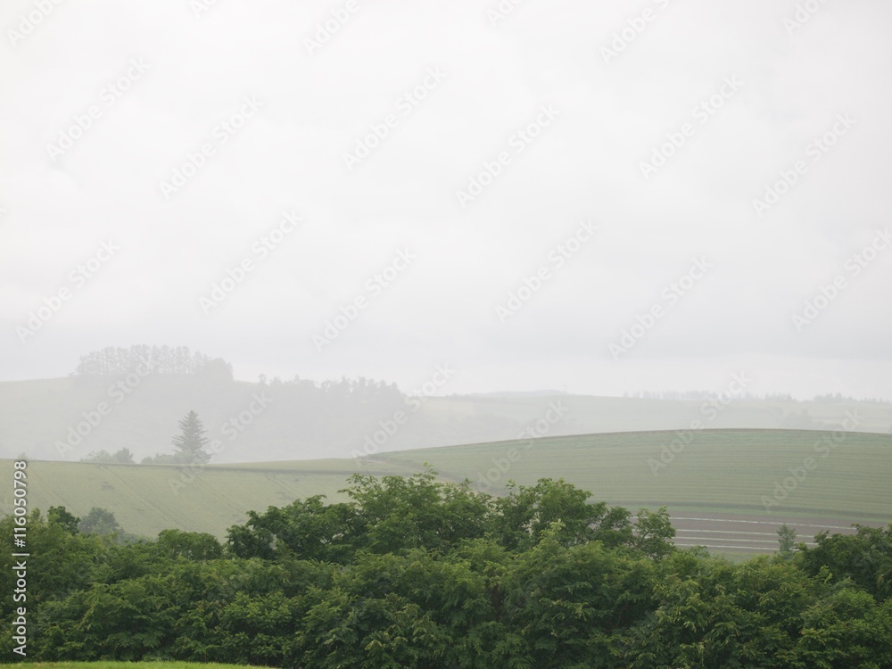 Patchwork road,Biei/Hokkaido,Japan Stock Photo | Adobe Stock