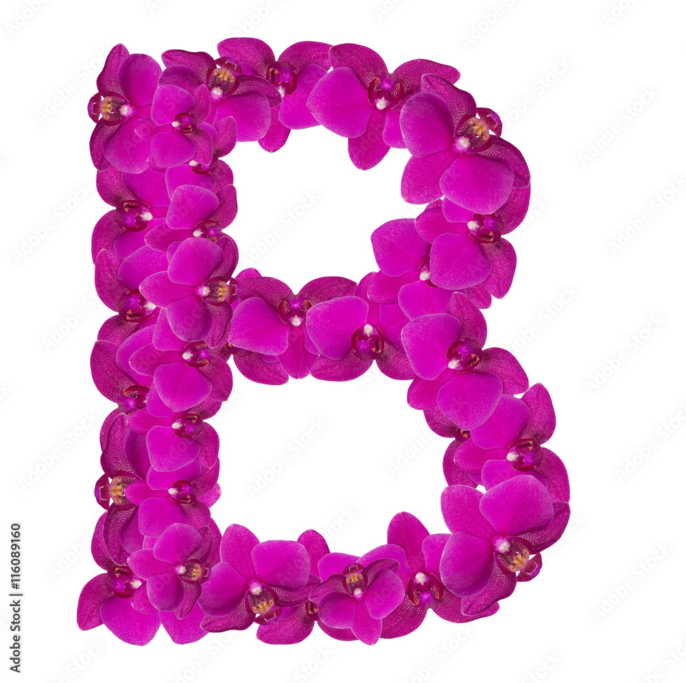 Letters made of pink flowers. B letter - flower alphabet Stock Photo ...