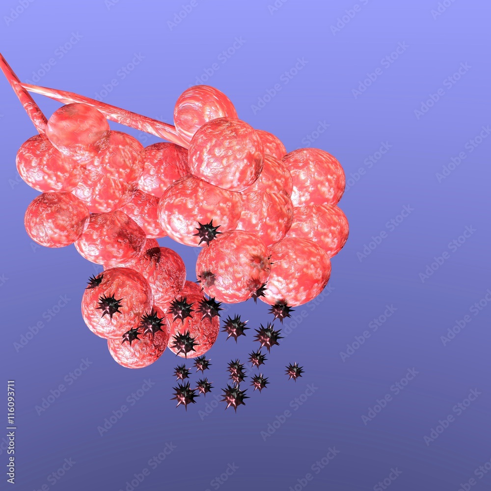 Ingress of particulate matter into the lungs 3D rendering Stock ...