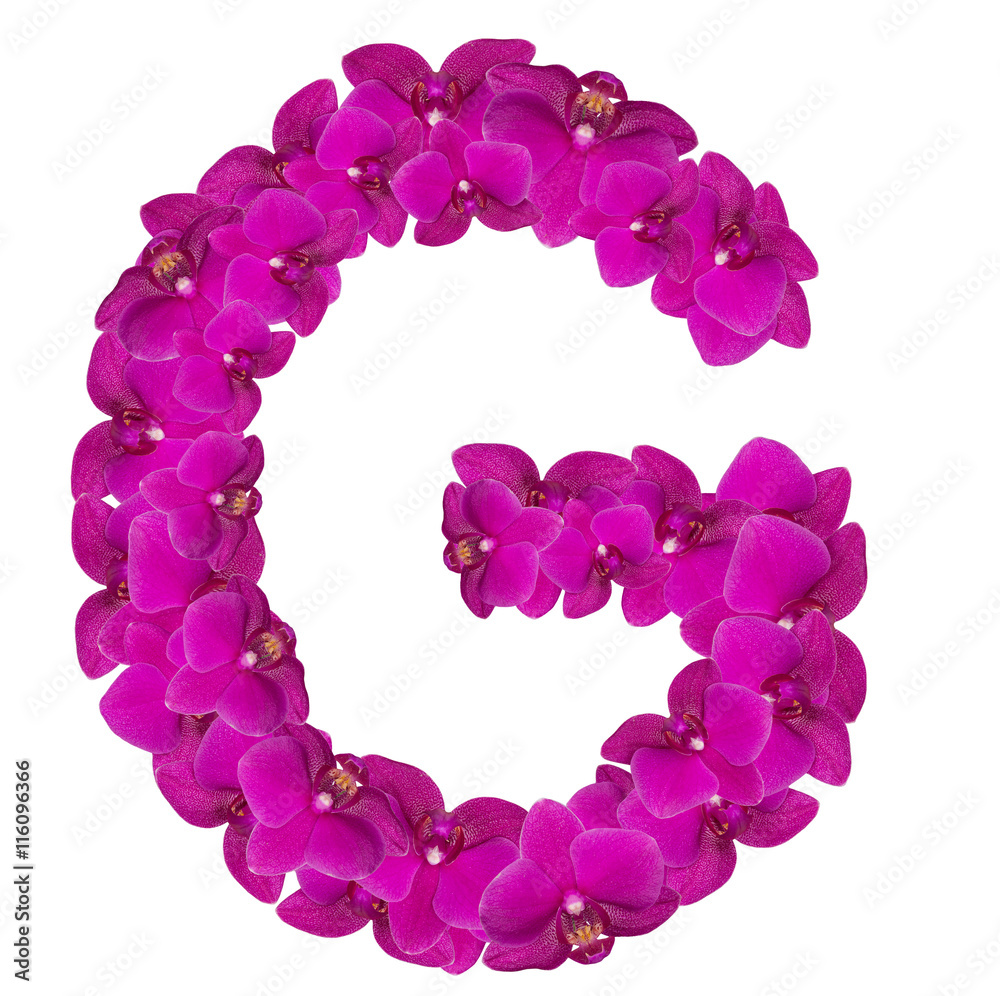 Letter G Pink