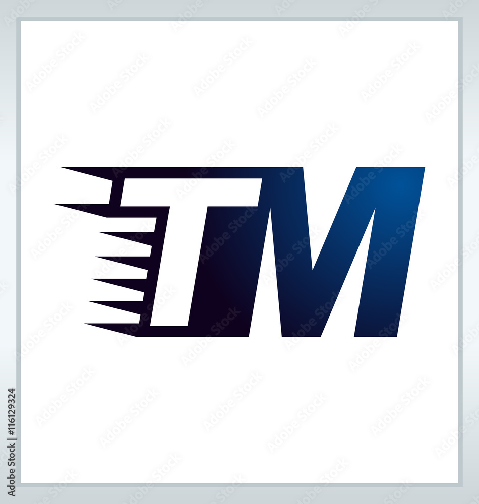 TM Two letter composition for initial, logo or signature Stock Vector ...