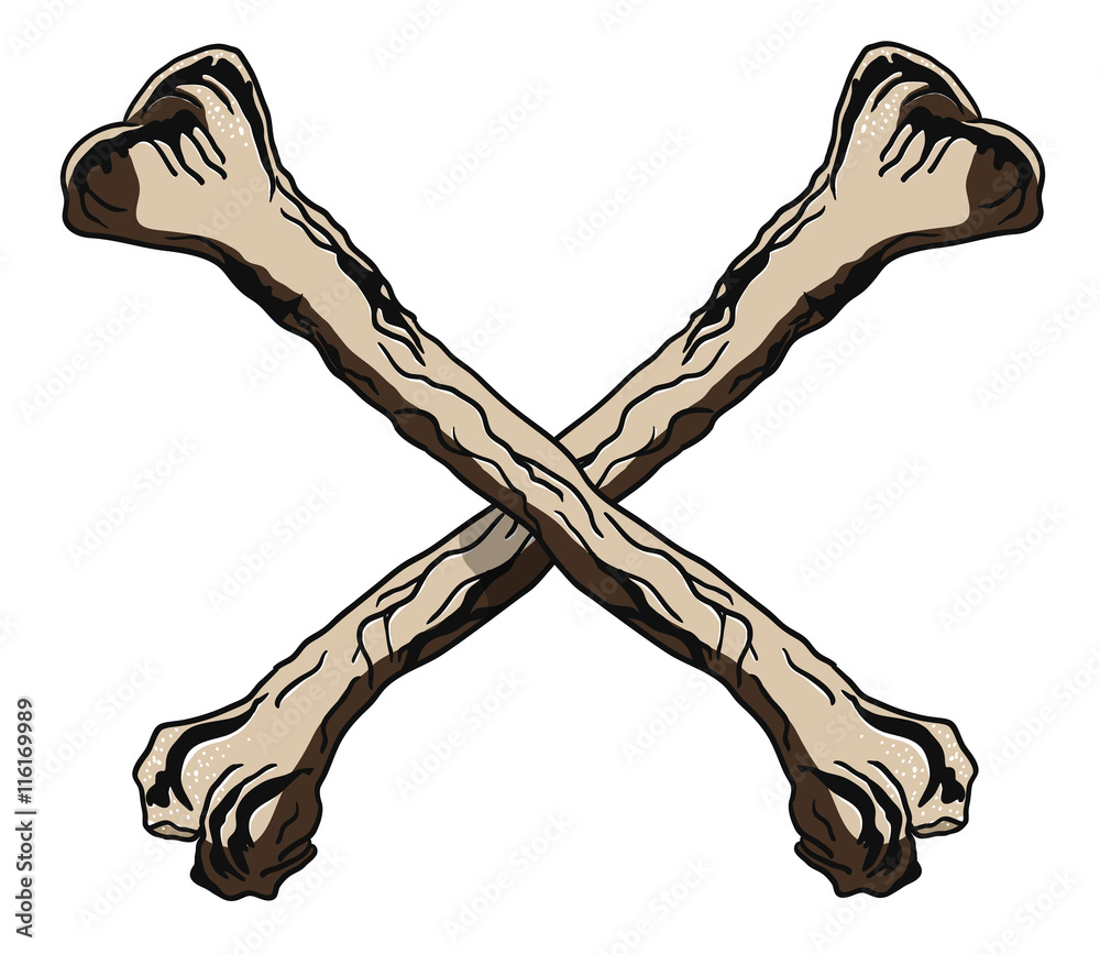 Crossbones vector illustration Stock Vector | Adobe Stock