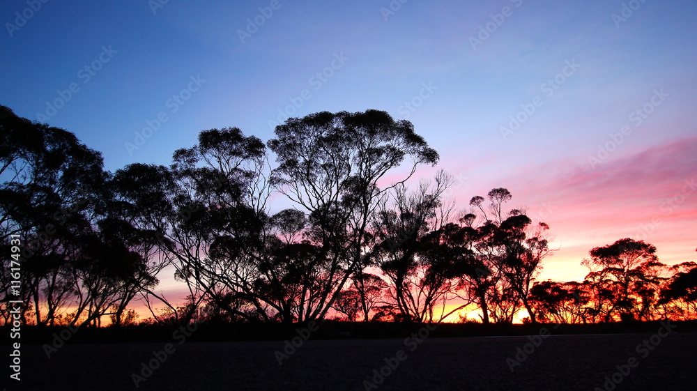Morning time in Australian outback Stock Photo | Adobe Stock