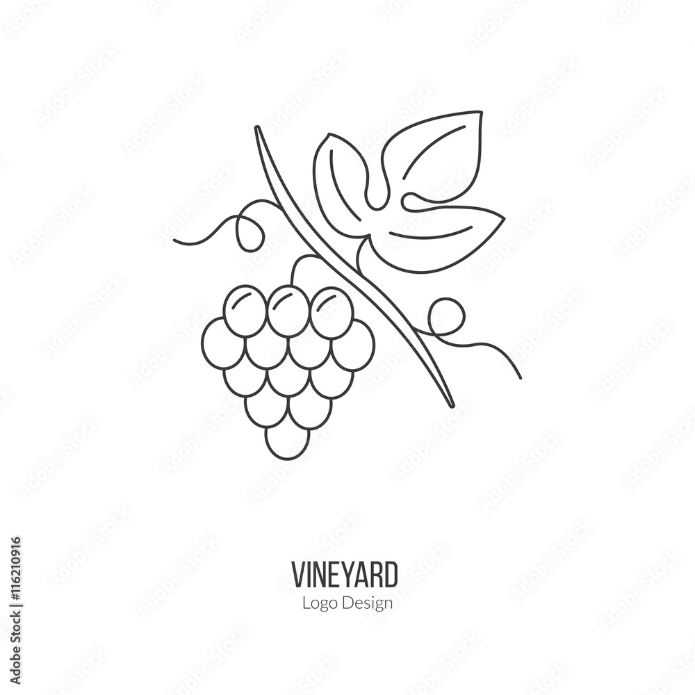 Grapes with leaf. Single logo in modern thin line style isolated on ...