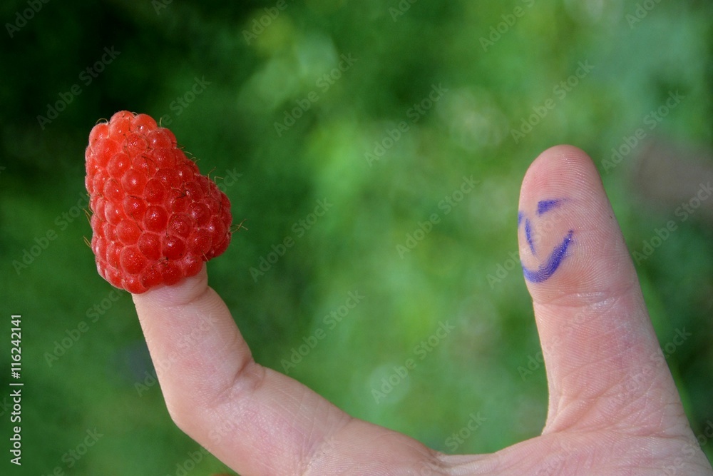 Himbeer an Finger und Daumen mit Gesicht vor grünem Hintergrund Stock ...
