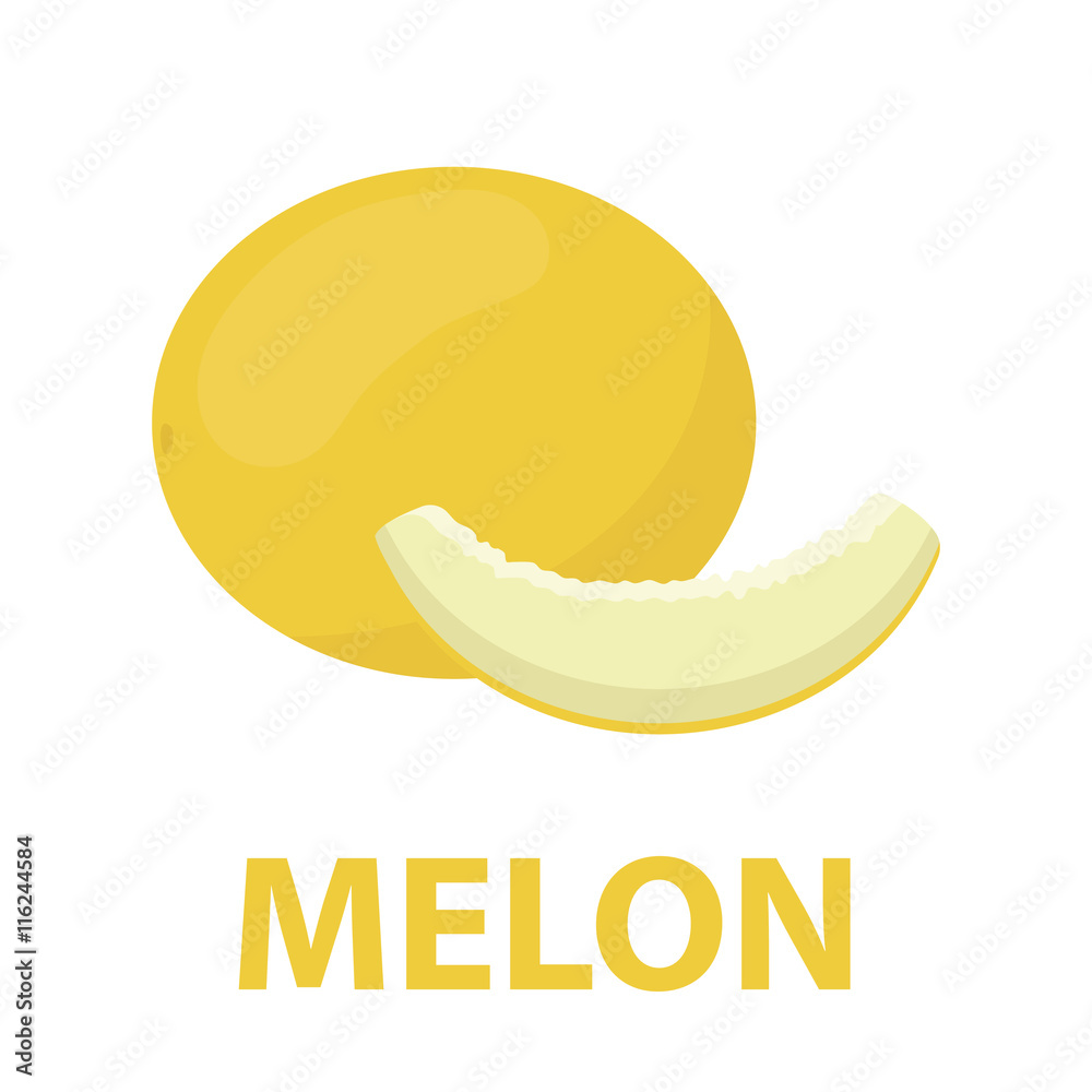 Melon icon cartoon. Singe fruit icon from the food set - stock vector ...