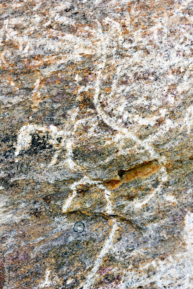 pitted stone texture Stock Photo | Adobe Stock