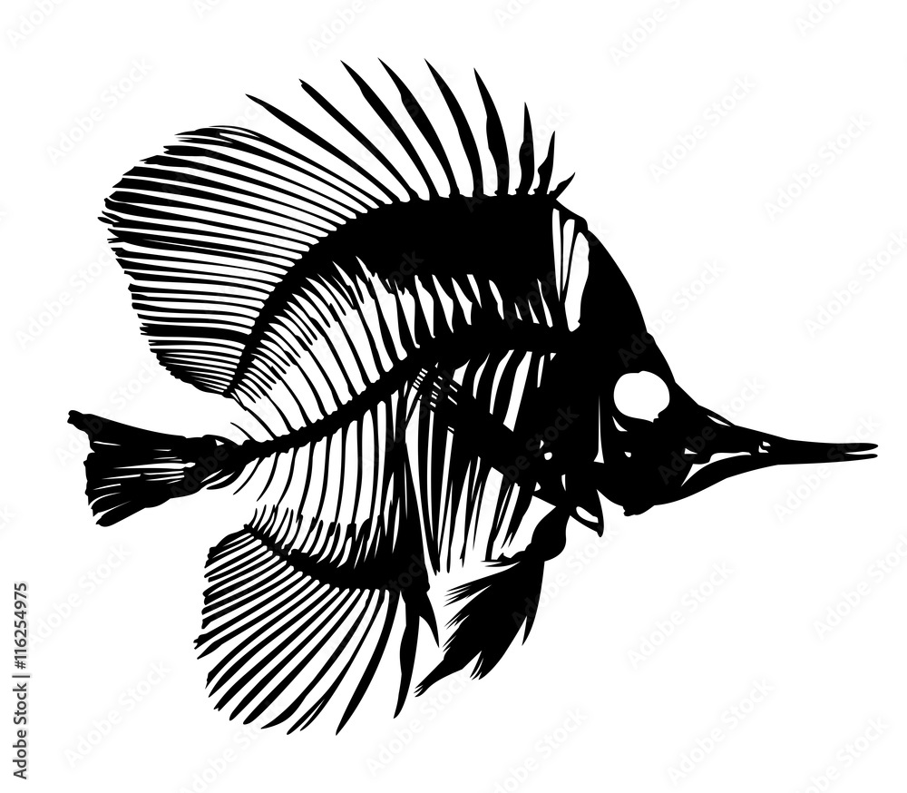 Skeleton of fish. Stock Vector | Adobe Stock