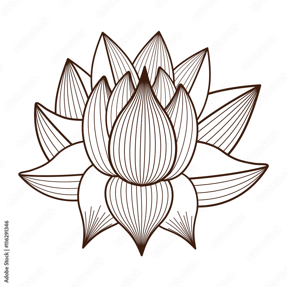 lotus flower drawing isolated icon design, vector illustration graphic ...