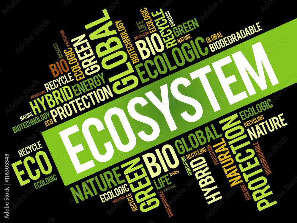 Ecosystem word cloud, conceptual green ecology background Stock Vector ...
