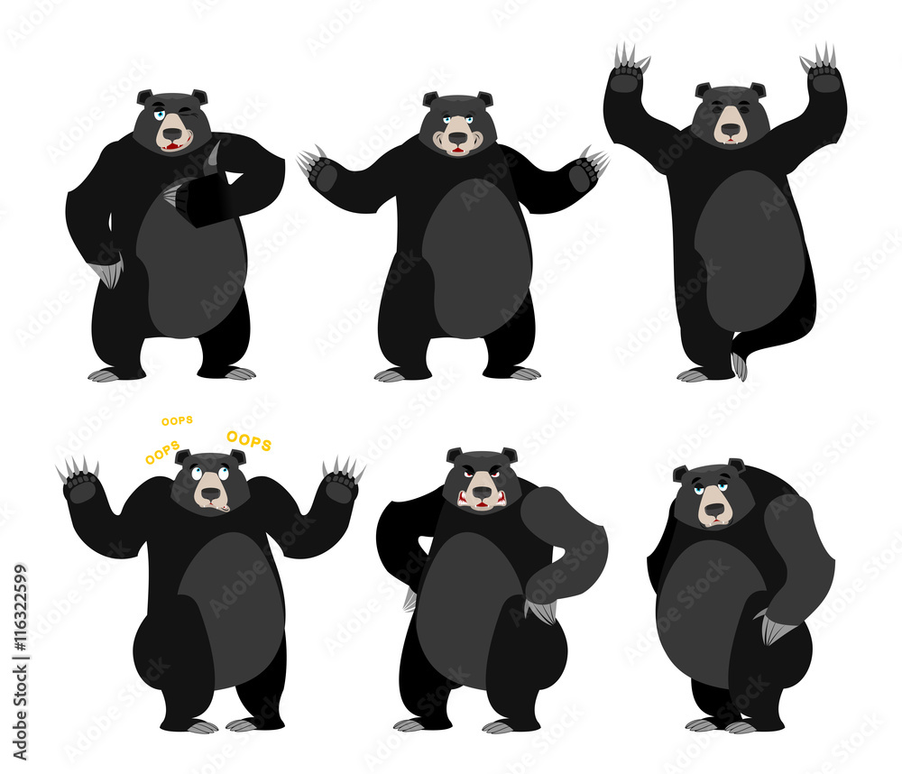 Baribal American black bear set. Grizzly various poses. Expressi Stock ...