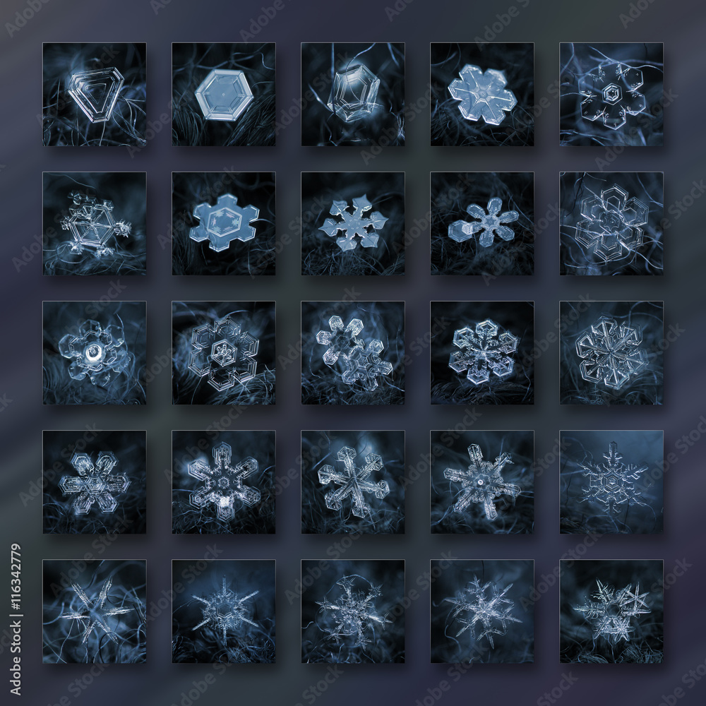 Navy Blue Simple Snowflake