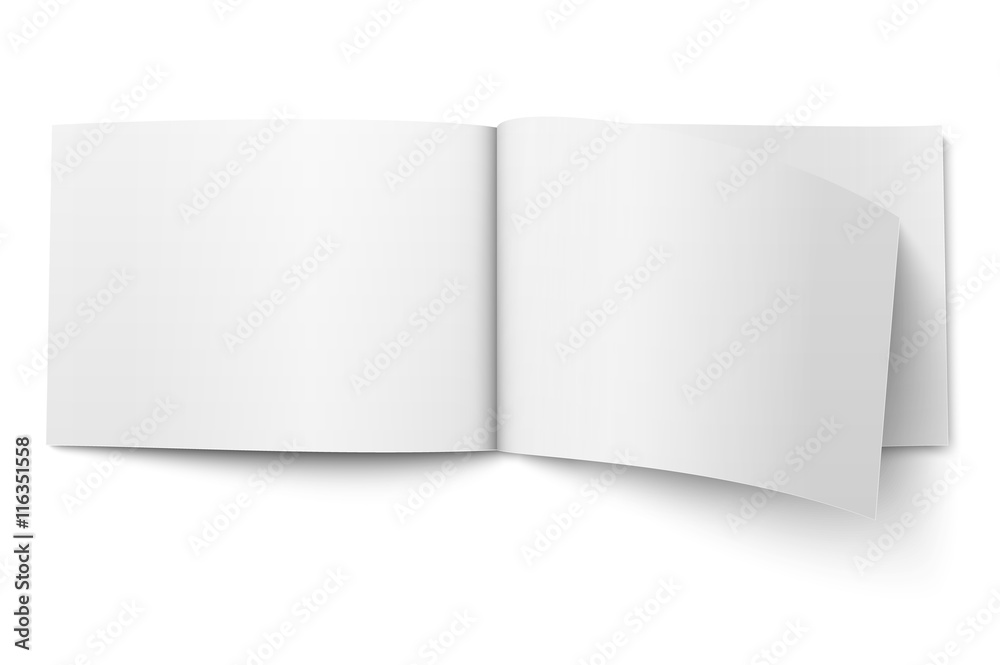 Blank magazine template. Wide format. Stock Vector | Adobe Stock