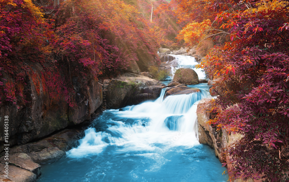 romantic autumn wonderful waterfall with magic colour of leaf and tree ...