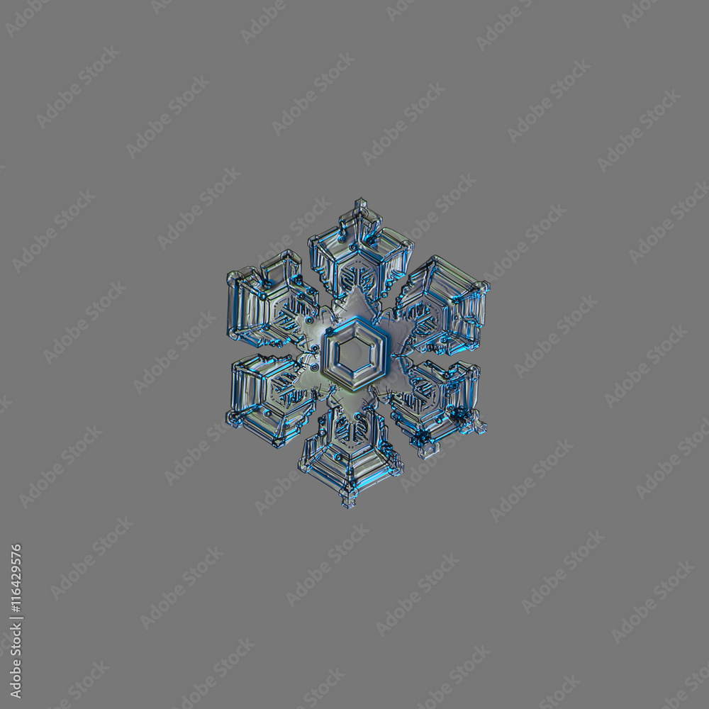Snowflake isolated on uniform grey background. This is macro photo of ...