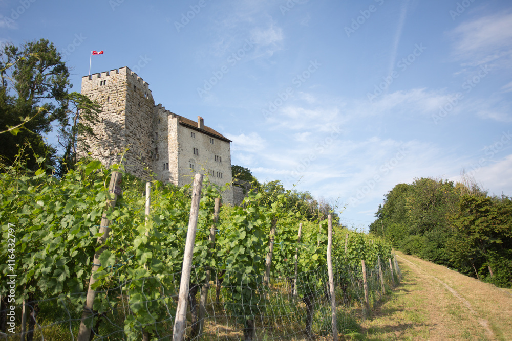 Medieval castle of Habsburg, the original seat of the Habsburg family ...