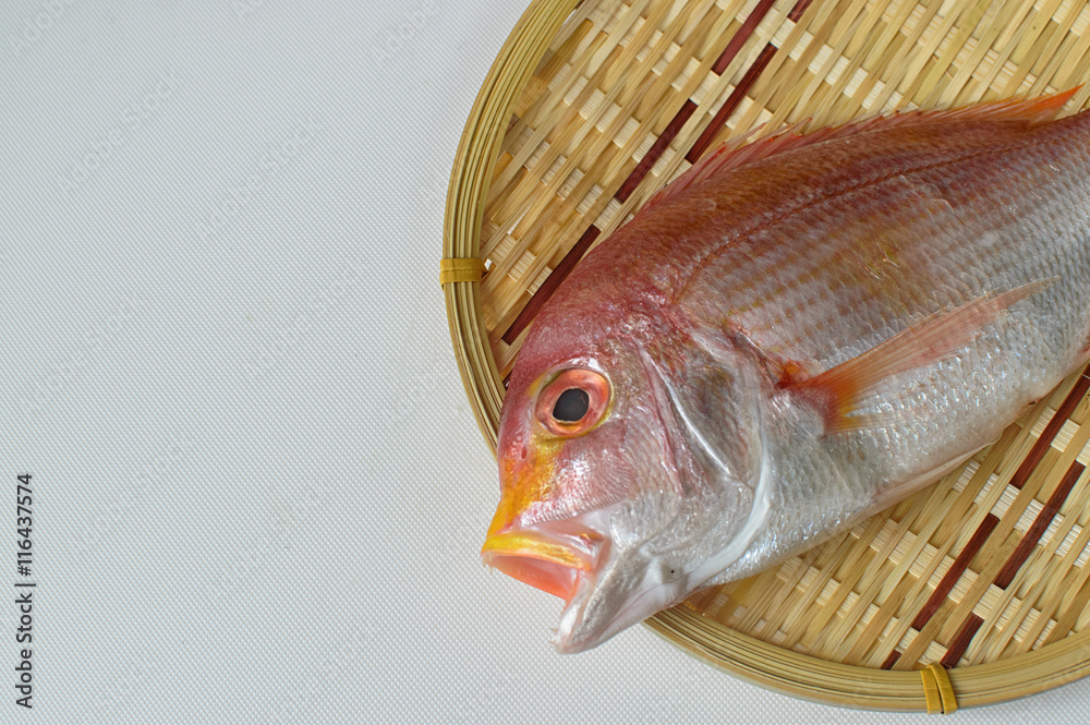 Red sea bream. In Japan, it is extensively raised in the farms in Ehime ...