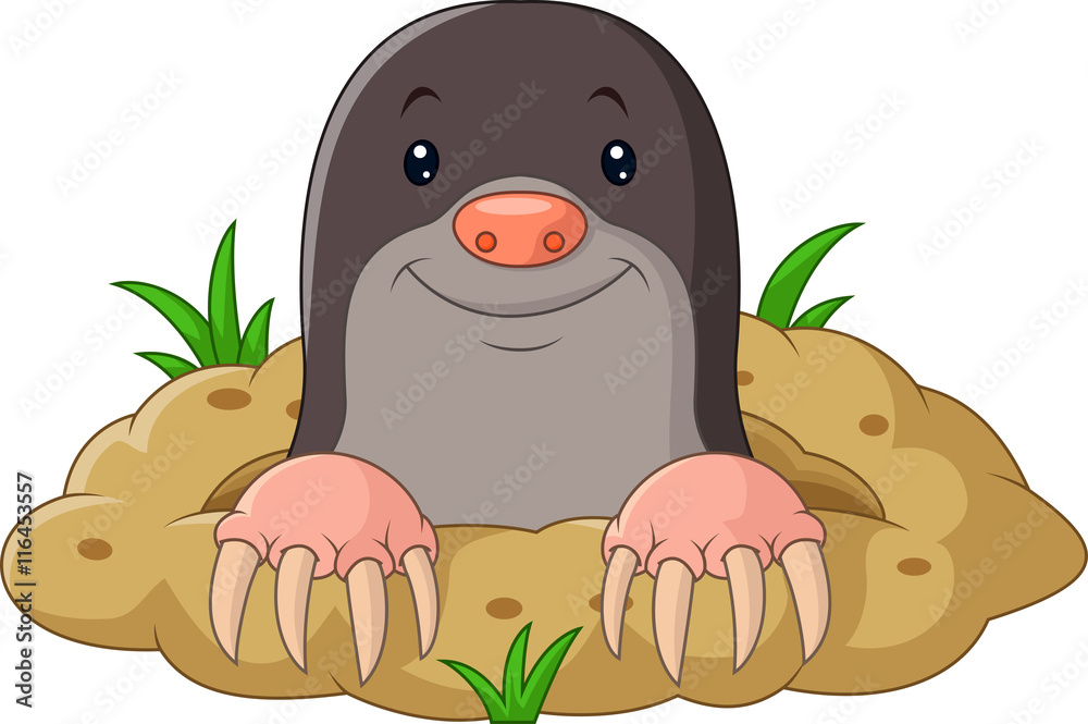 Cartoon funny mole Stock Vector | Adobe Stock