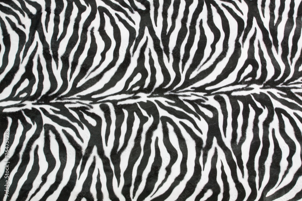 Zebra texture background Stock Photo | Adobe Stock