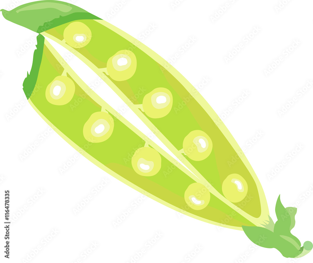 Раскрытый молодой горох Stock Vector | Adobe Stock