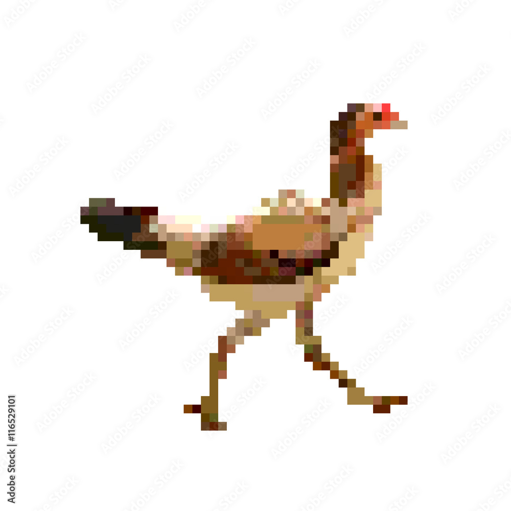 chicken pixel art. isolated animal farm. vector Stock Vector | Adobe Stock