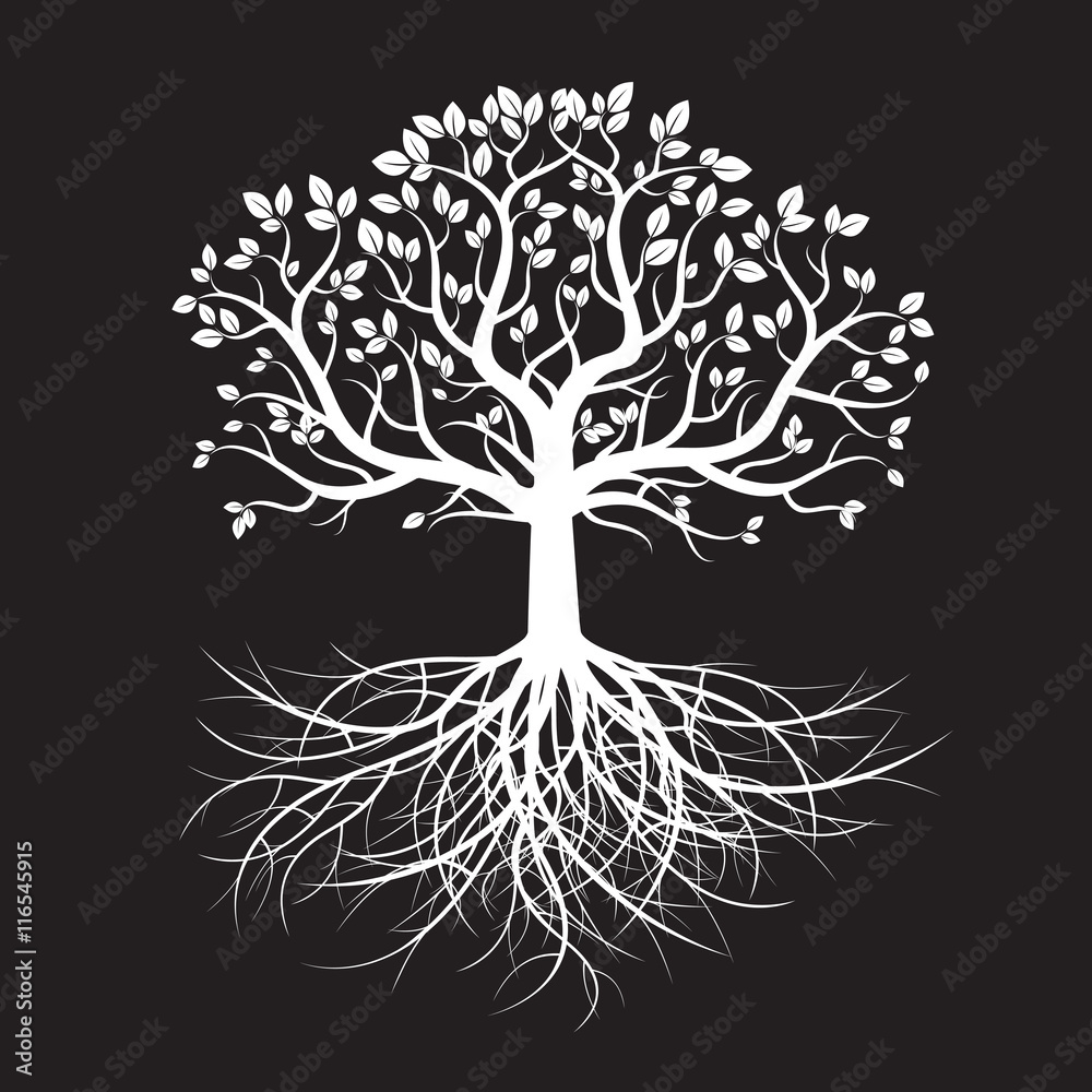 White Old Tree and Roots. Vector Illustration. Stock Vector | Adobe Stock