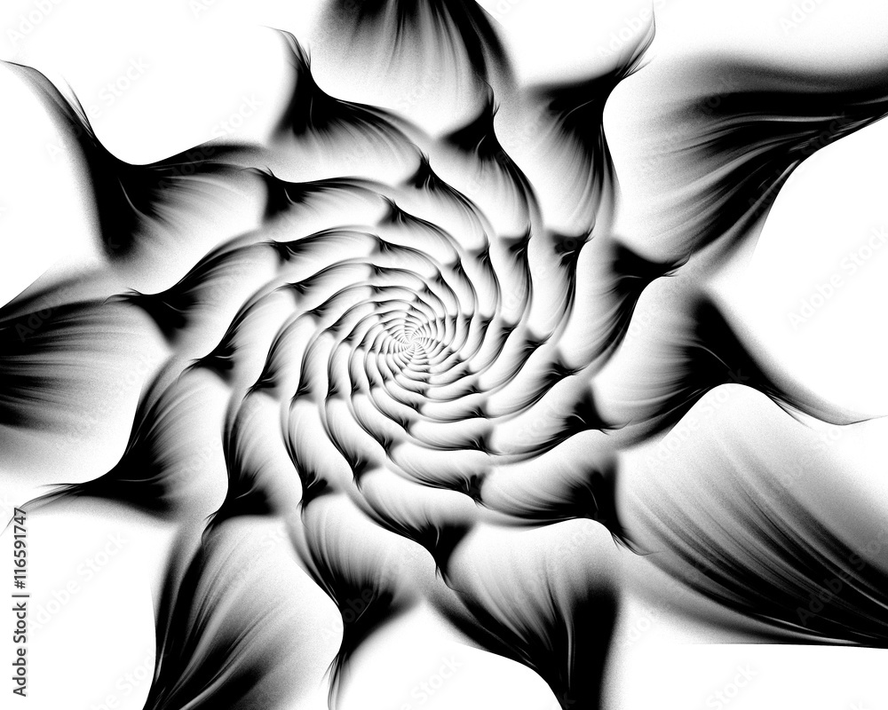 Fractal Black And White