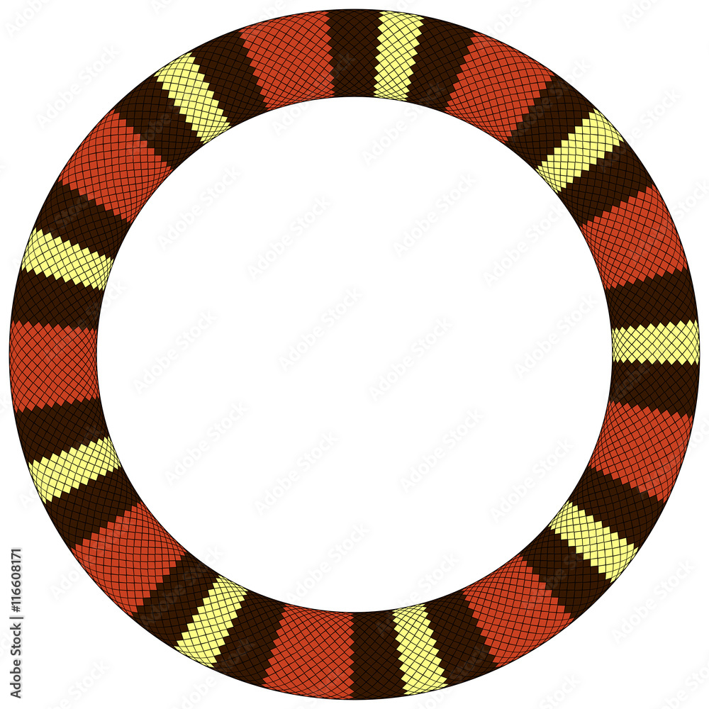 Round frame of snake skin border based on color pattern of species ...