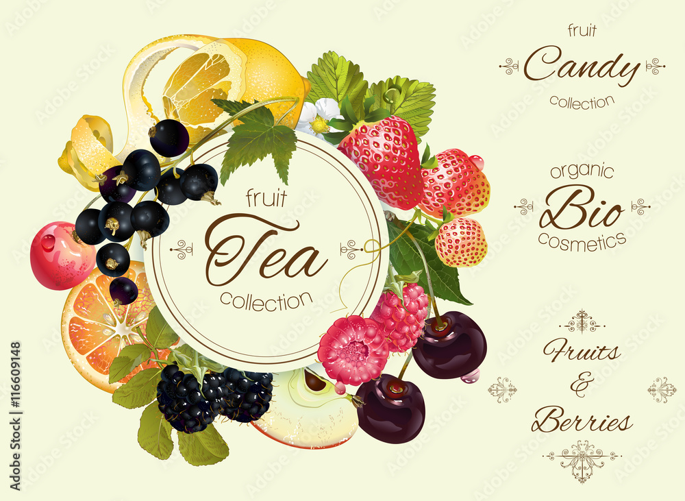 Vintage Fruit Vector