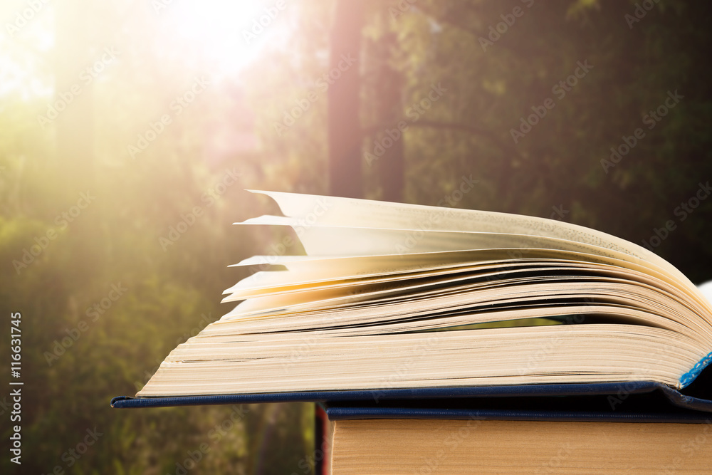 Open book over the landscape background Stock Photo | Adobe Stock